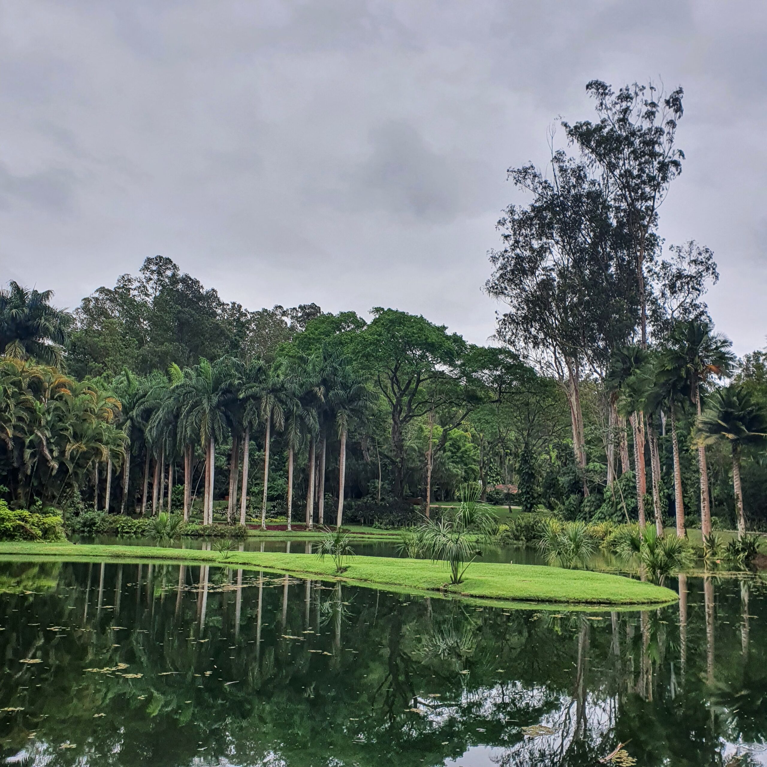 Inhotim, o maior museu a céu aberto no mundo | Biologia da Paisagem